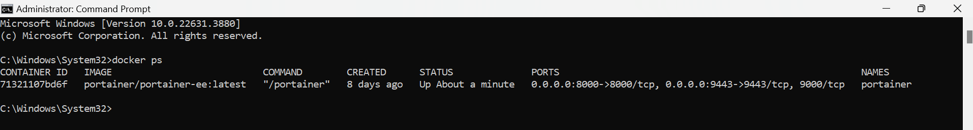 Getting Started Portainer - RAVA Global