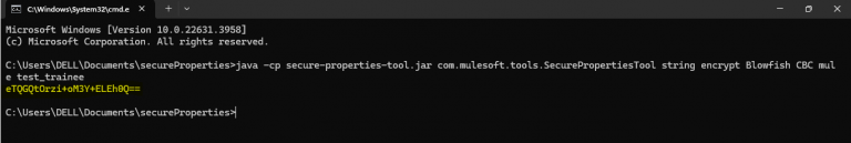 Implementing Secure Properties in Mule 4 - RAVA Global